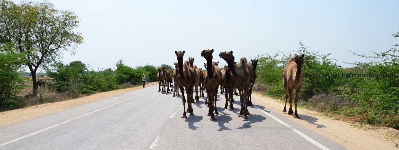 Discovery Journeys | Monkfoot Travels Pvt Ltd