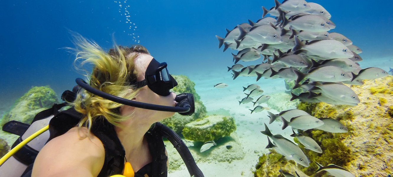 Netrani Island Scuba Diving | Scuba Life