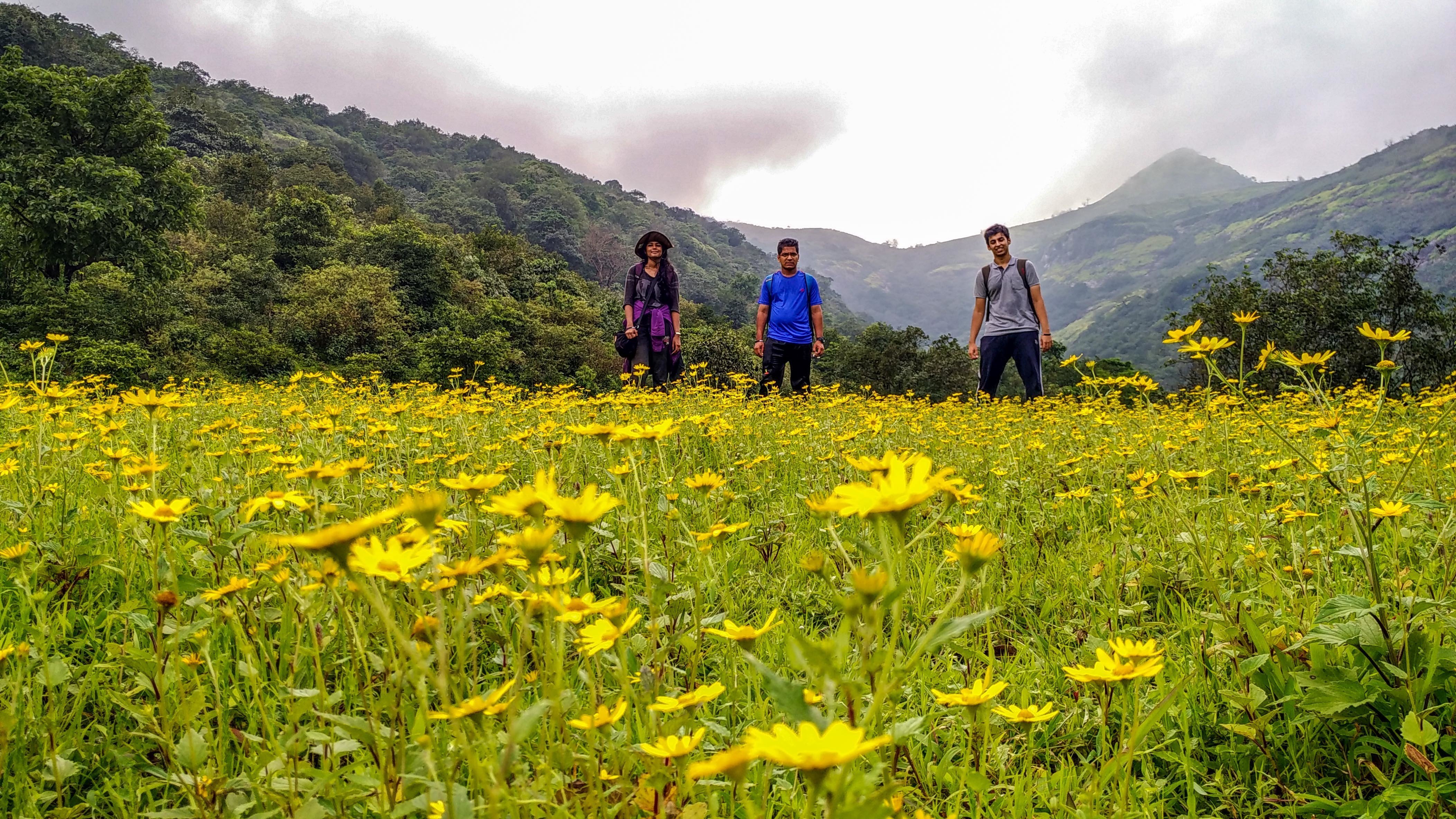 Ratangad Fort Overnight Trek | Travers India